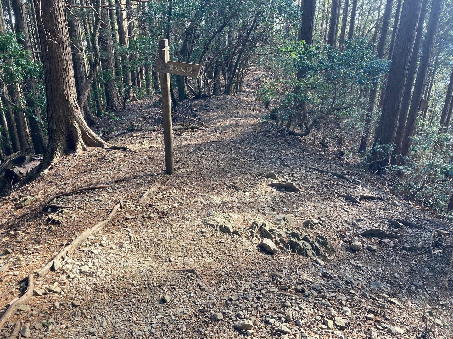 Natsumi さんの投稿したフィールドメモ | YAMAP / ヤマップ