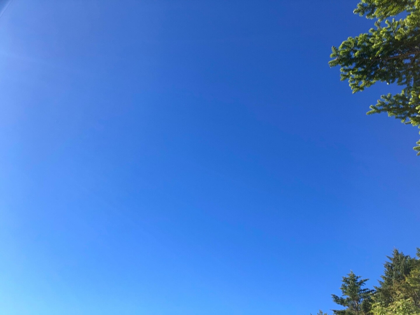 恵那山 / noggyさんの恵那山・大判山・神坂山の活動データ | YAMAP / ヤマップ