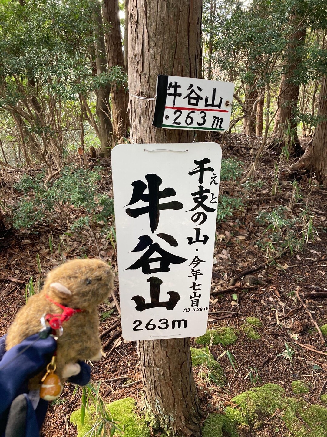 牛谷山（鈴鹿300山） / すずめさんの高畑山・那須ヶ原山・油日岳の活動データ | YAMAP / ヤマップ