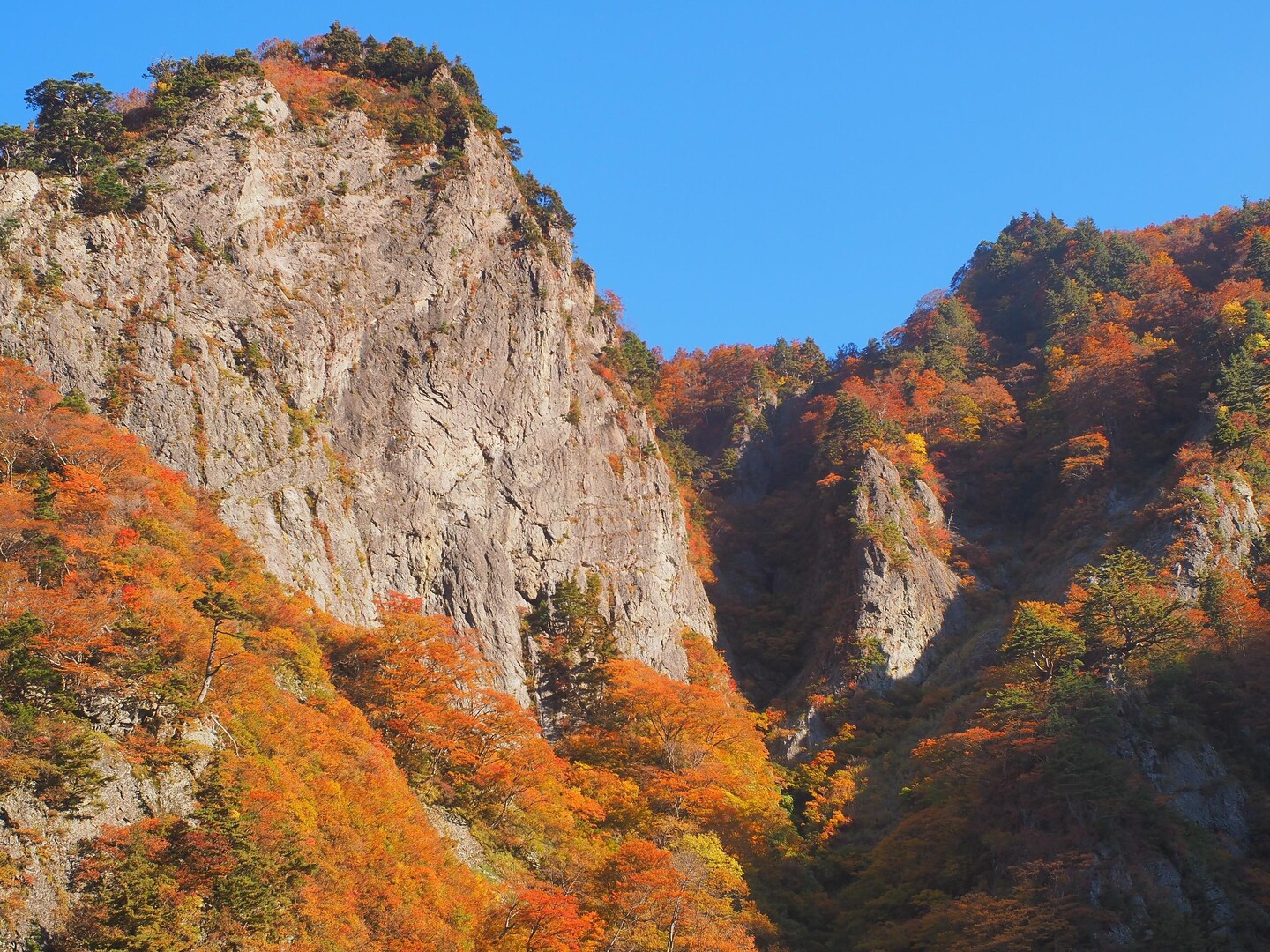 裏巻機渓谷 / Hikoさんの越後駒ヶ岳・八海山・中ノ岳の活動データ | YAMAP / ヤマップ