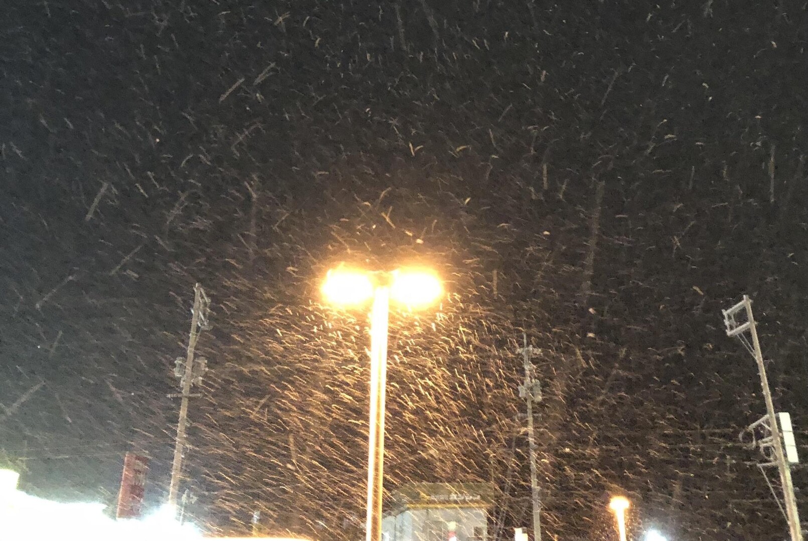 今回の積雪の様子です 約4cmでした 自... / SCORE さんのモーメント | YAMAP / ヤマップ