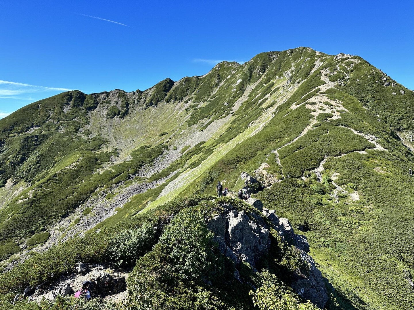 小仙丈ヶ岳・仙丈ヶ岳 / mmmさんの仙丈ヶ岳・伊那荒倉岳の活動データ | YAMAP / ヤマップ