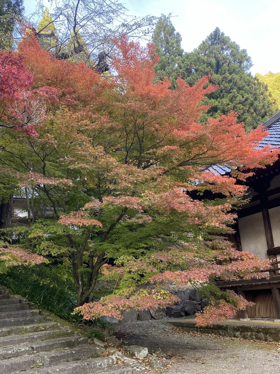 若穂太郎山 / 月さんの妙徳山・若穂太郎山・大洞山の活動日記 | YAMAP / ヤマップ