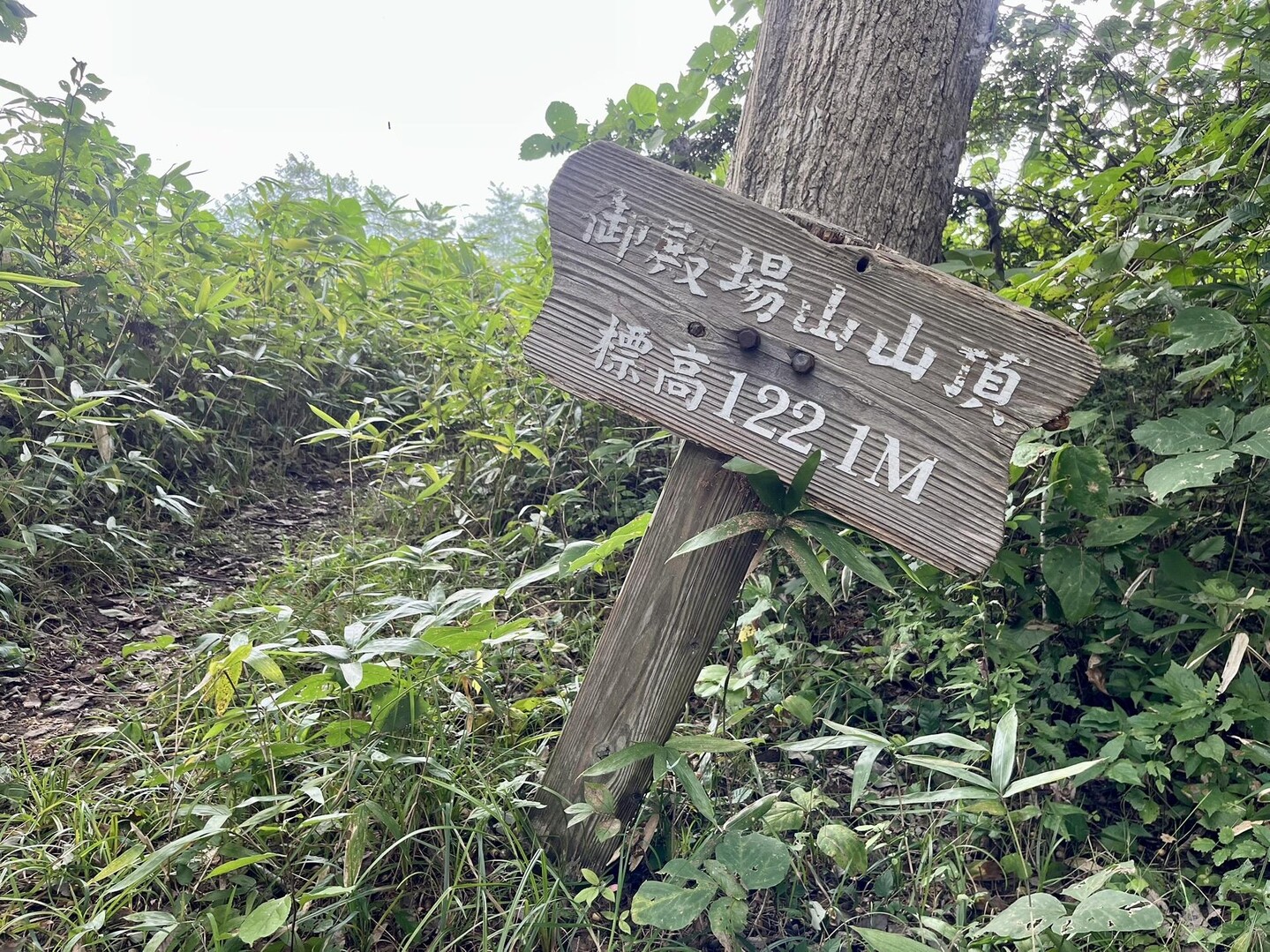 前沢SA下りの御殿場山の山頂がYAMAP... / ちんたらさんのモーメント | YAMAP / ヤマップ
