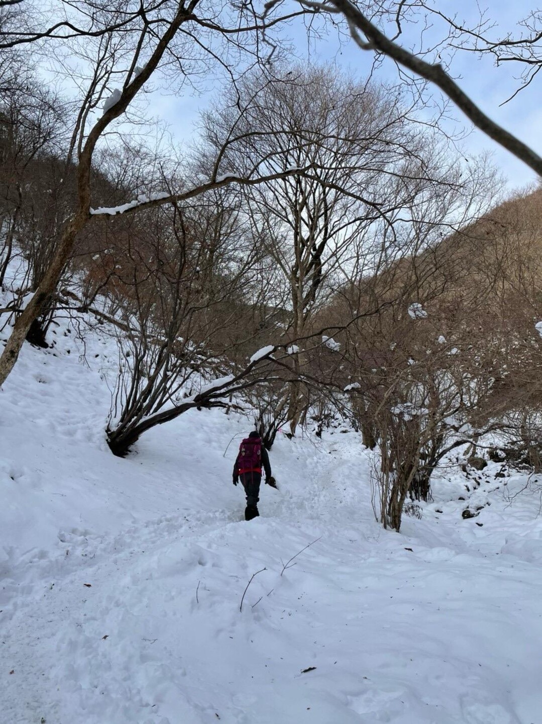 シリーズ お正月の入道ヶ岳 🎍2021... / hiroさんのモーメント | YAMAP / ヤマップ