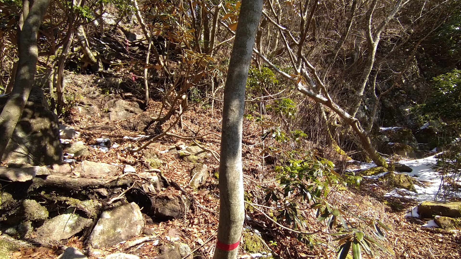 Mixさんの投稿したフィールドメモ | YAMAP / ヤマップ