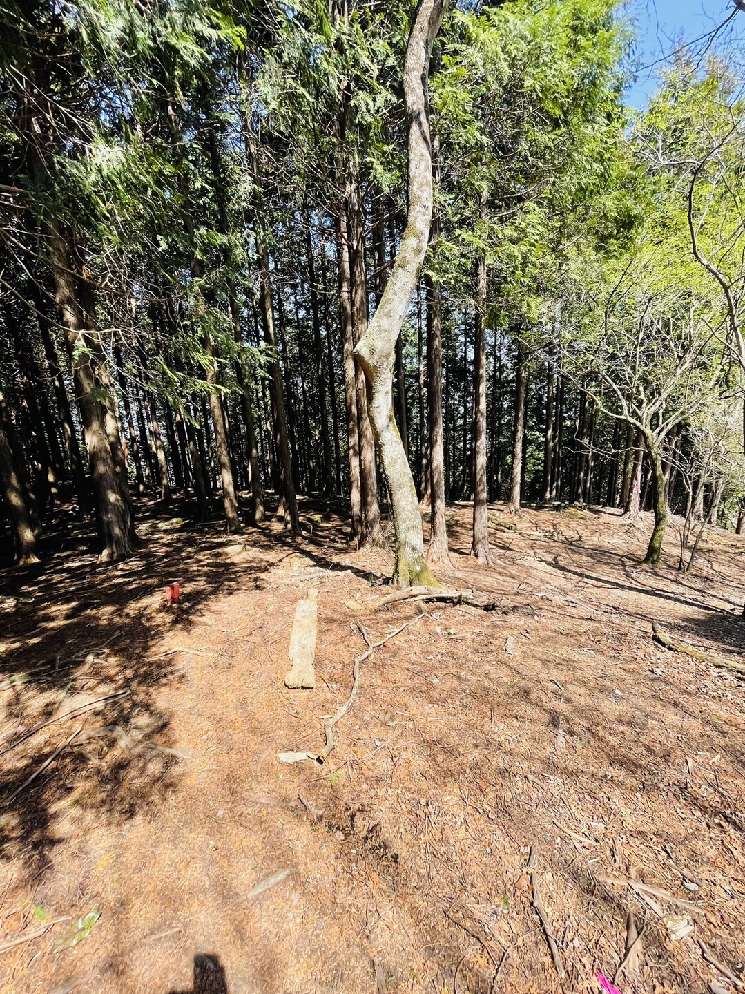 otouさんの投稿したフィールドメモ | YAMAP / ヤマップ