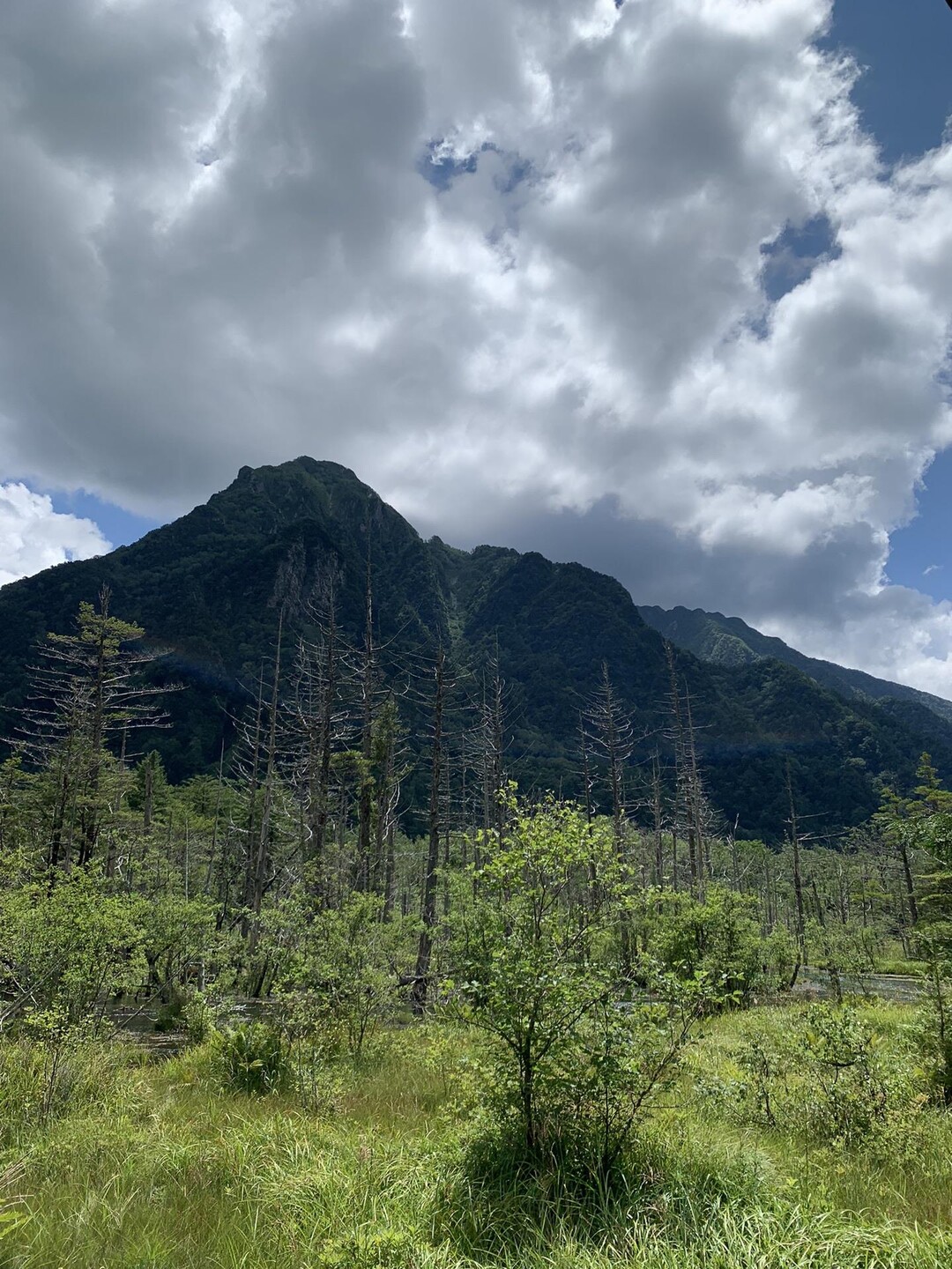 上高地へ。 河童橋→明神。 / Mamiさんのモーメント | YAMAP / ヤマップ