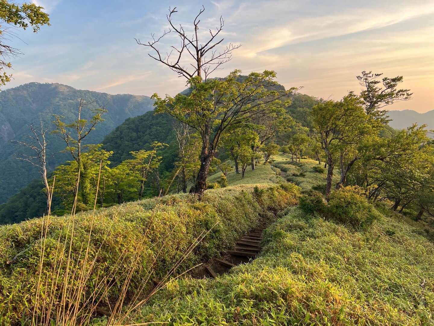 丹沢to高尾 (TTT) / さとしさんの塔ノ岳・丹沢山・蛭ヶ岳の活動データ | YAMAP / ヤマップ