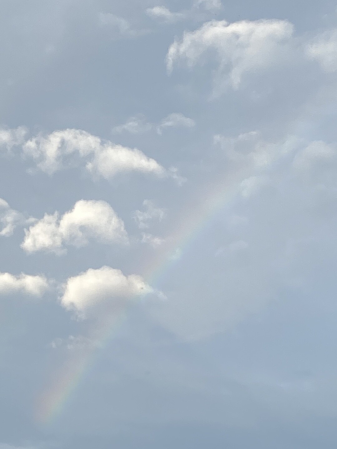 小雨の中の虹🌈😊 / hiro⭐︎さんのモーメント | YAMAP / ヤマップ