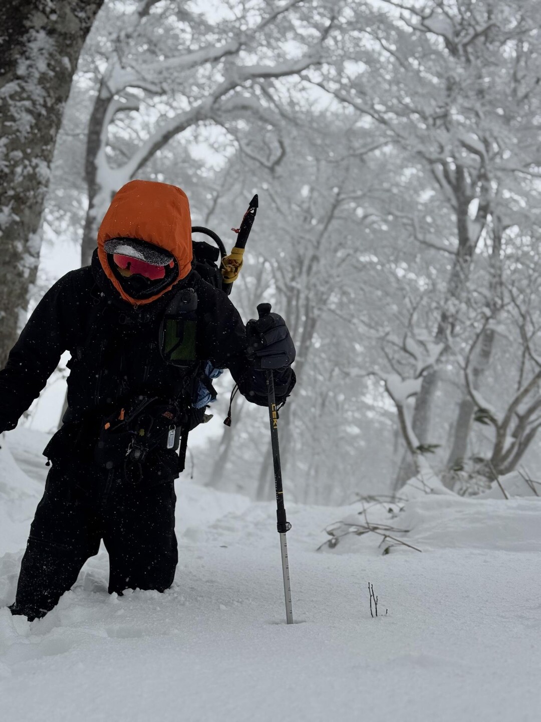 氷ノ山（須賀ノ山） / yskさんの氷ノ山（須賀ノ山）・鉢伏山・瀞川山の活動データ | YAMAP / ヤマップ