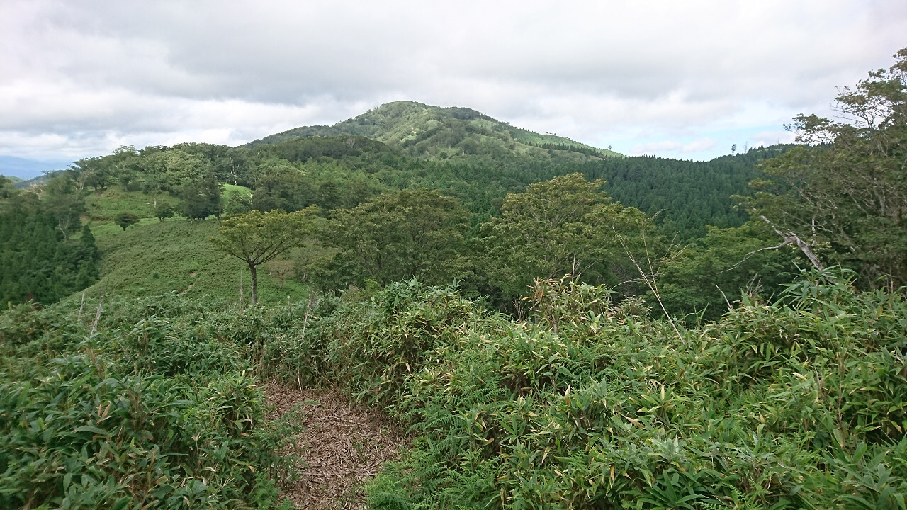 沖ノ山～若杉原生林～三国平 Lionさんの沖ノ山・若杉原生林（若杉天然林）の活動データ Yamap ヤマップ