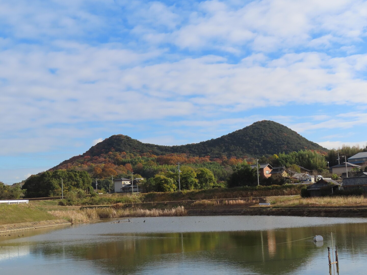 香川 鞍掛山 / tokyo-catさんの高松市の活動データ | YAMAP / ヤマップ