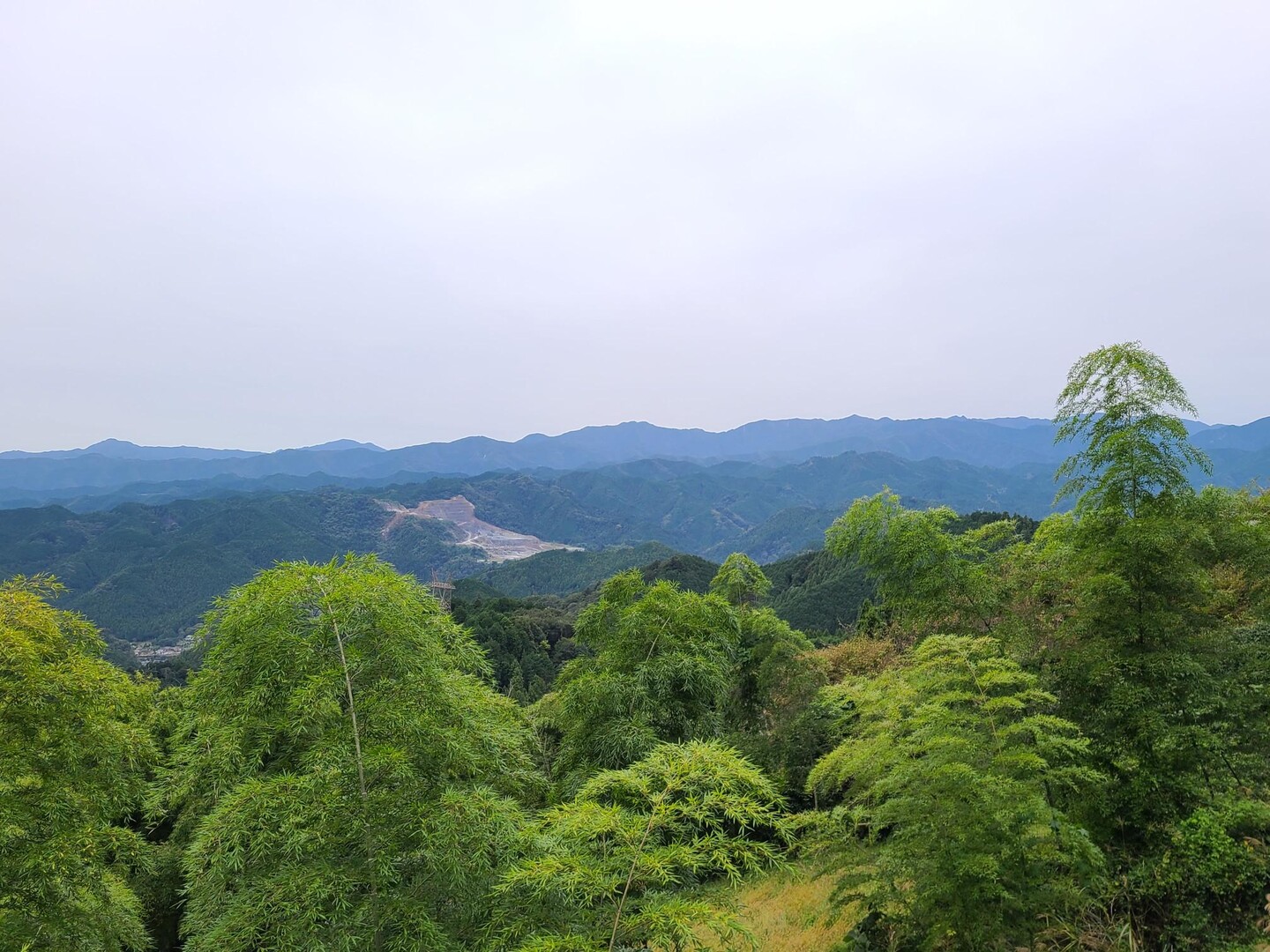 y🐻さんの投稿したフィールドメモ | YAMAP / ヤマップ