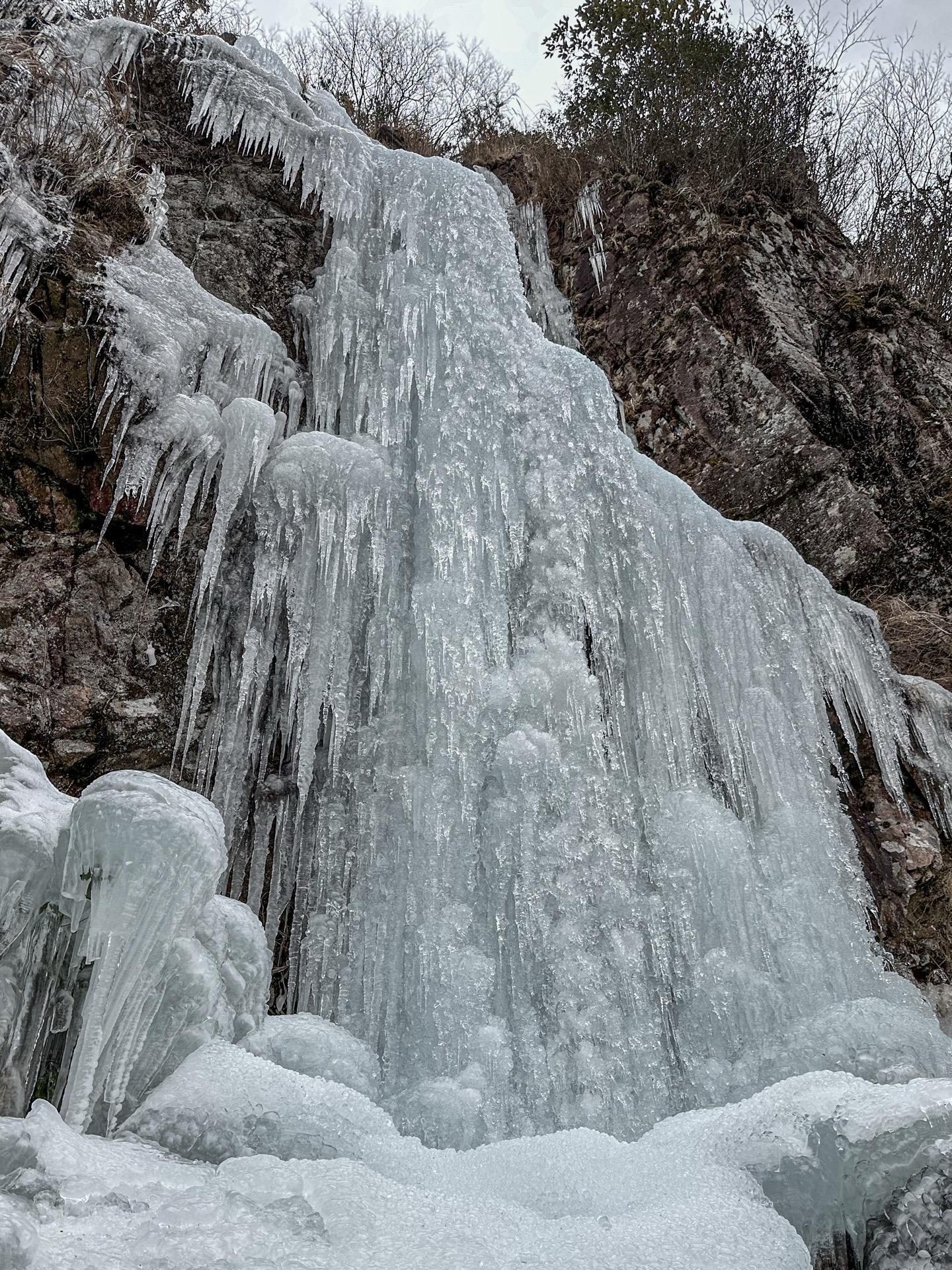 三郡山に登って来たよ〜 / jun.nisiiさんの宝満山・三郡山・若杉山の活動データ | YAMAP / ヤマップ