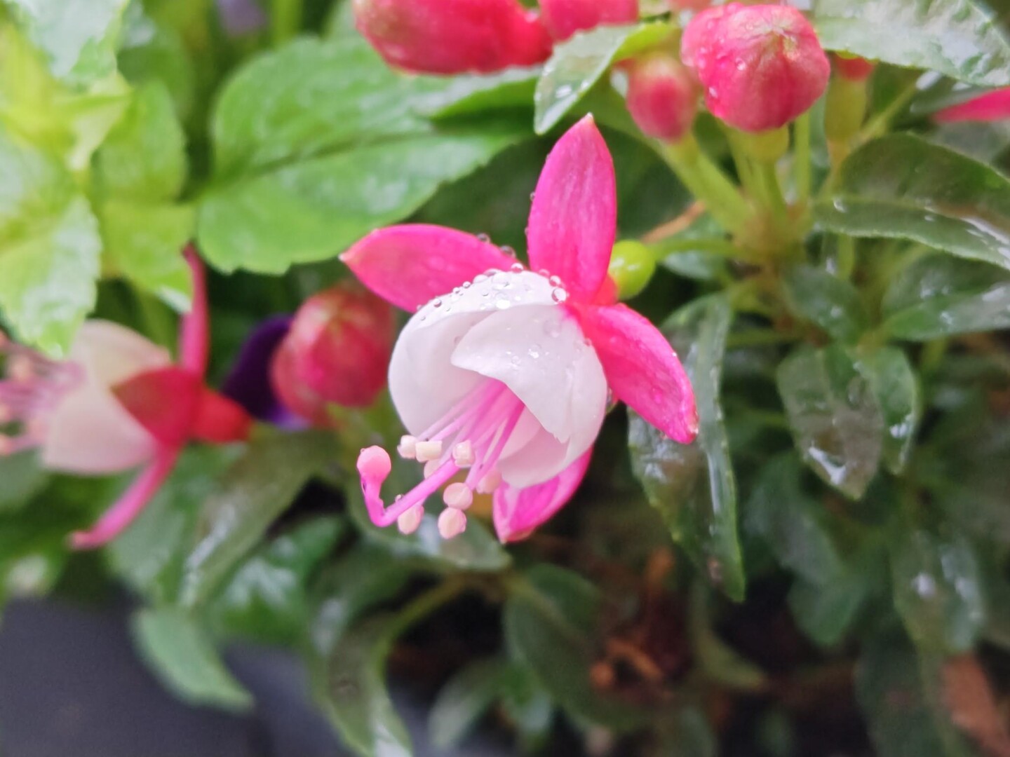 65😆愛宕山 / megさんの能古島の活動日記 | YAMAP / ヤマップ