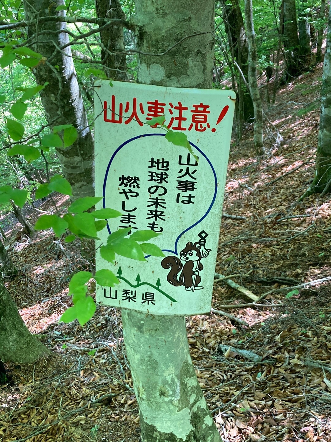 今日のまといリス / ayayoさんのモーメント | YAMAP / ヤマップ