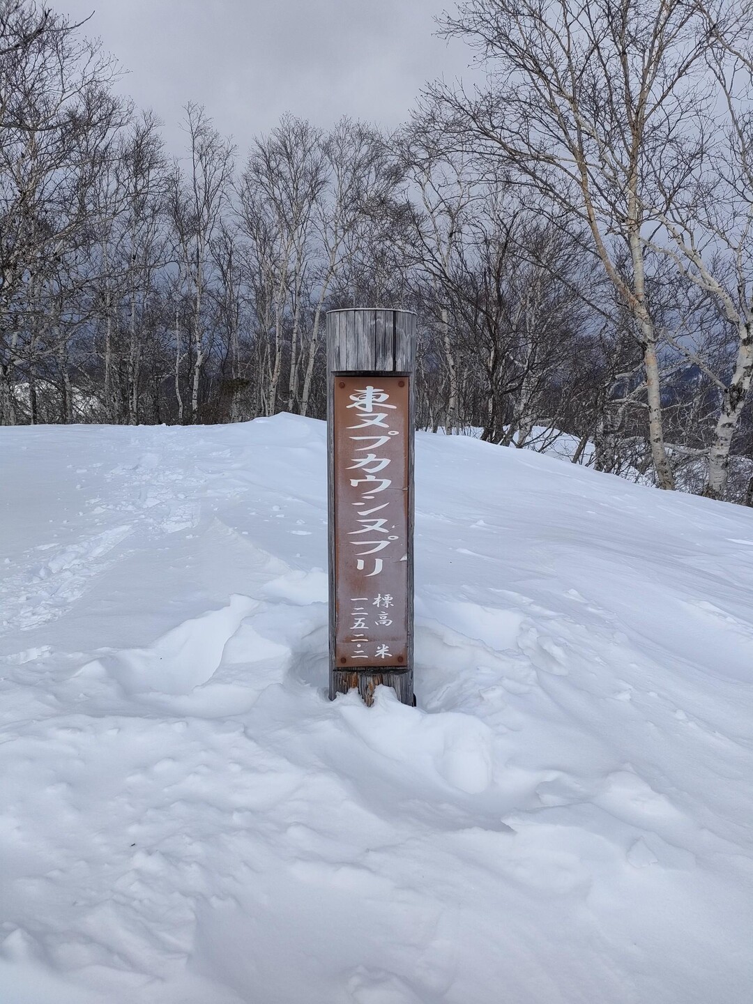 東ヌプカウシヌプリ / maekaoさんの登山の活動データ | YAMAP / ヤマップ
