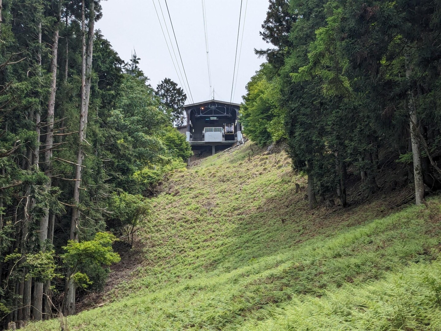 大比叡 / mettaさんの比叡山・横高山・梶山の活動データ | YAMAP / ヤマップ