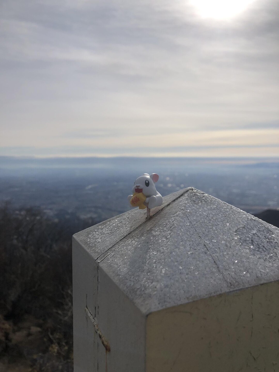浅間山(水沢山) 3.6km歩（天気に恵まれすぎ☀️） / ヒルズさんの榛名山・天狗山・天目山の活動データ | YAMAP / ヤマップ