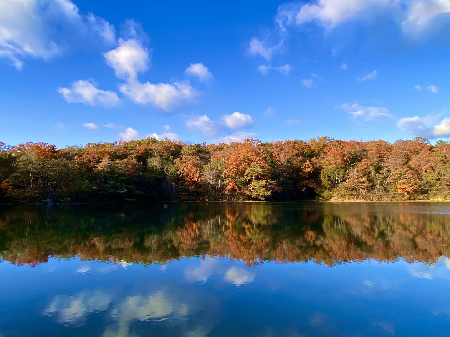 百丈岩・鎌倉峡 / ケイさんの百丈岩・鎌倉峡の活動データ | YAMAP / ヤマップ