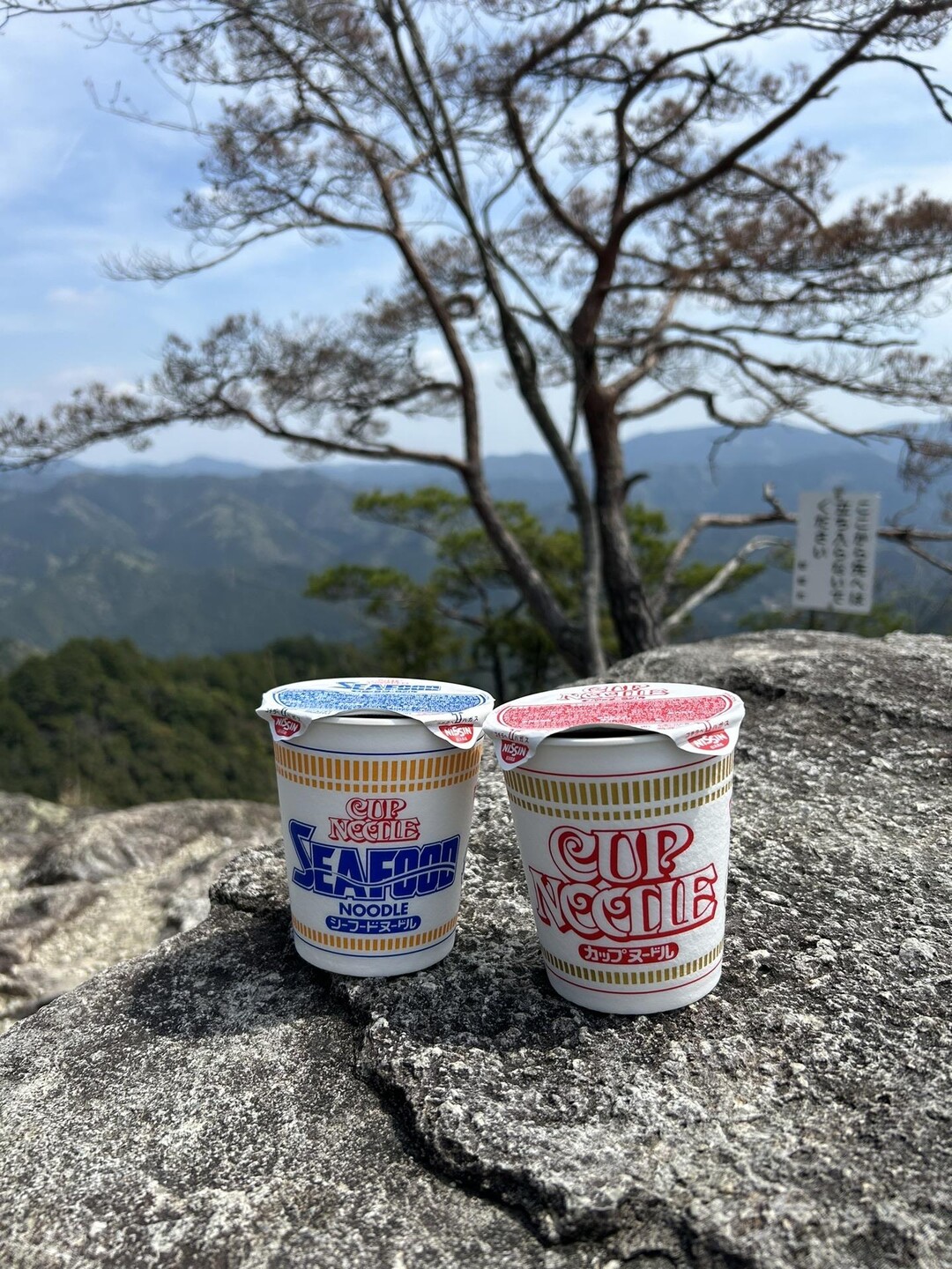 宇連山・鳳来寺山・岩古谷山-2024-04-13 / tomopiroさんの宇連山・鳳来寺山・岩古谷山の活動データ | YAMAP / ヤマップ