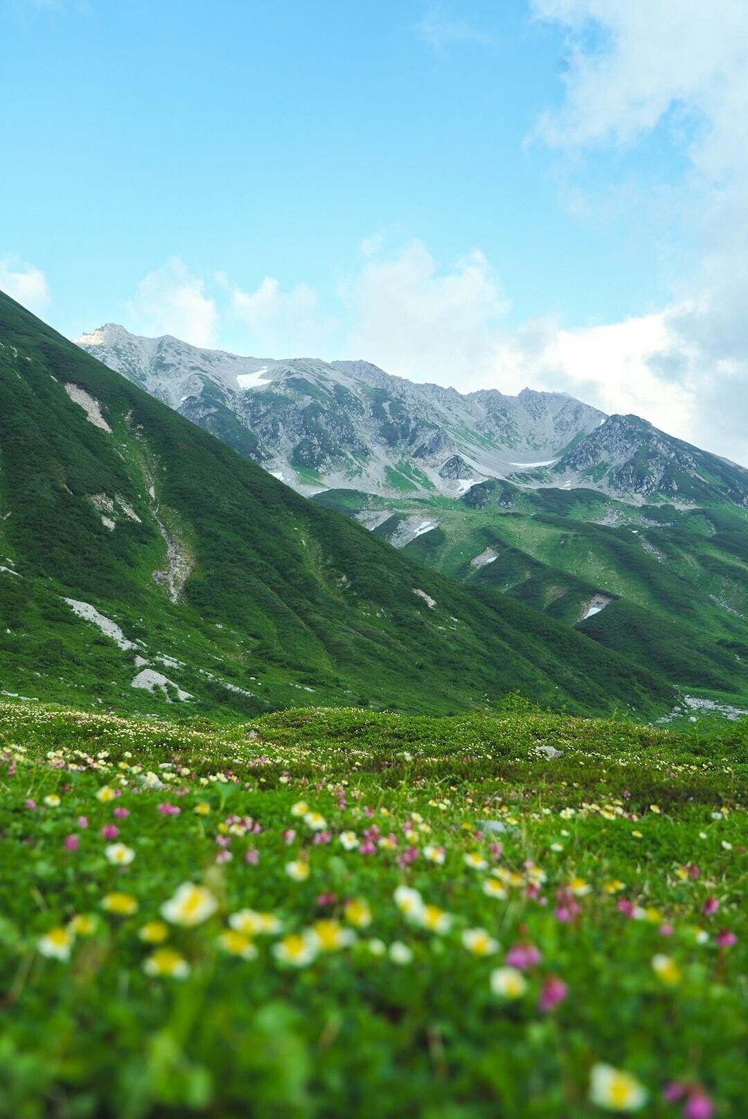 別山・真砂岳・浄土山 / mojaさんの立山・雄山・浄土山の活動データ | YAMAP / ヤマップ