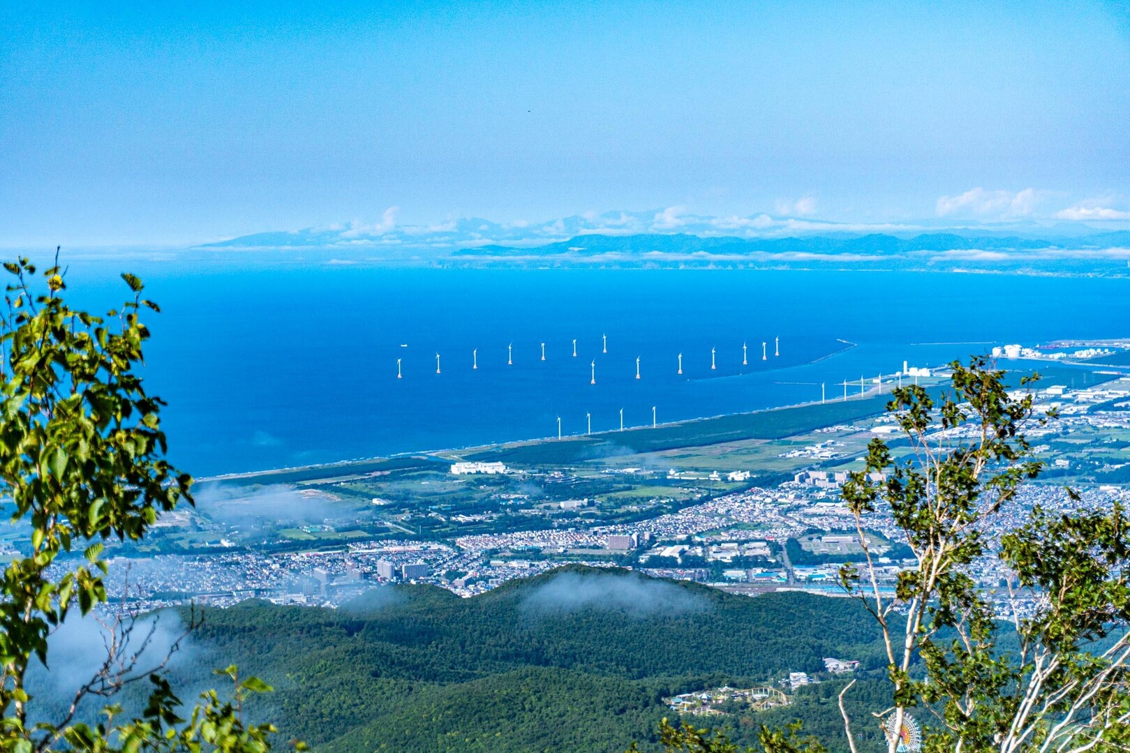 セミに体当たりされた！＠手稲山 / 😺Sammyさんの手稲山・奥手稲山の活動データ | YAMAP / ヤマップ