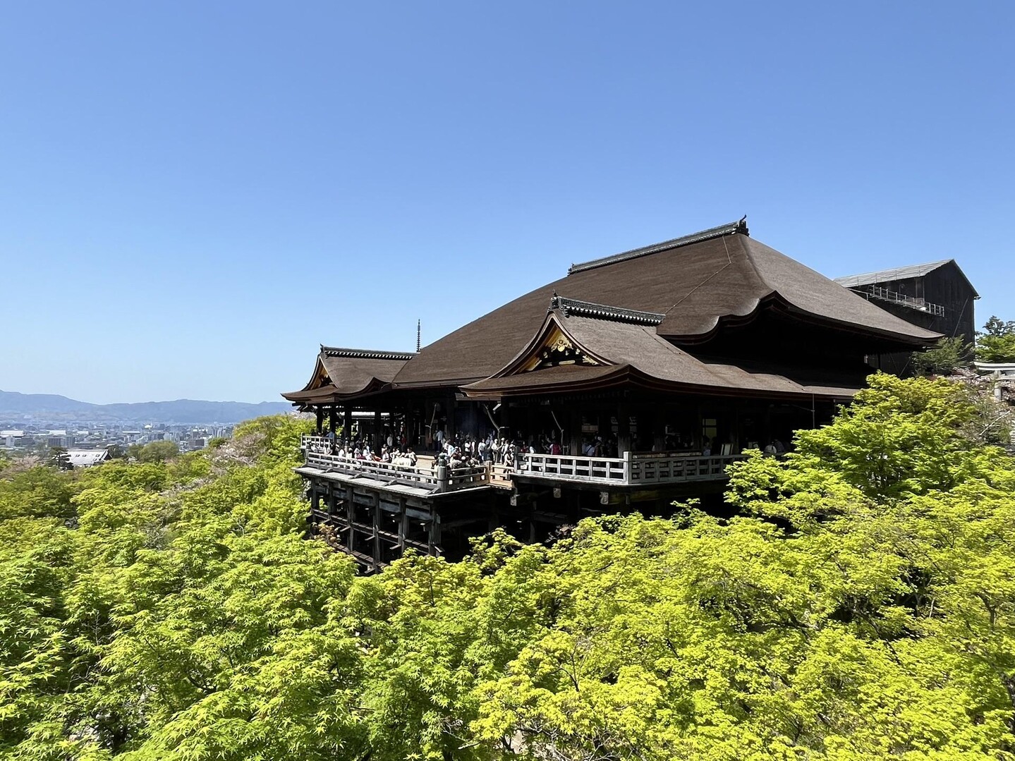 トレイン🚃で京都トレイル！へGO‼️ / しょこてん746さんの大文字山・如意ヶ嶽・稲荷山の活動日記 | YAMAP / ヤマップ