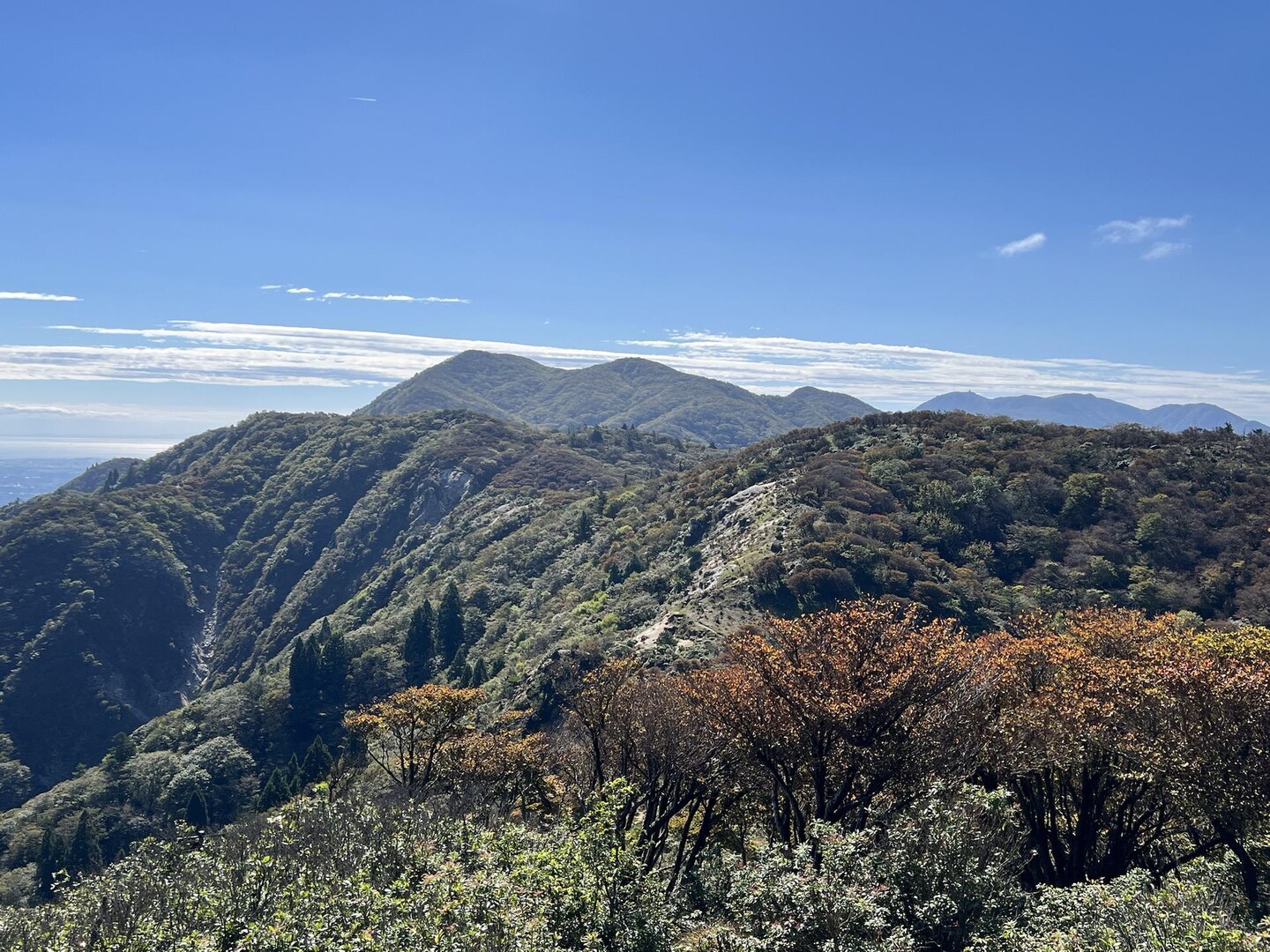 三池岳・北仙香山・仙香山・釈迦ヶ岳・岩ヶ峰・北山 / togonovoさんの釈迦ヶ岳の活動データ | YAMAP / ヤマップ