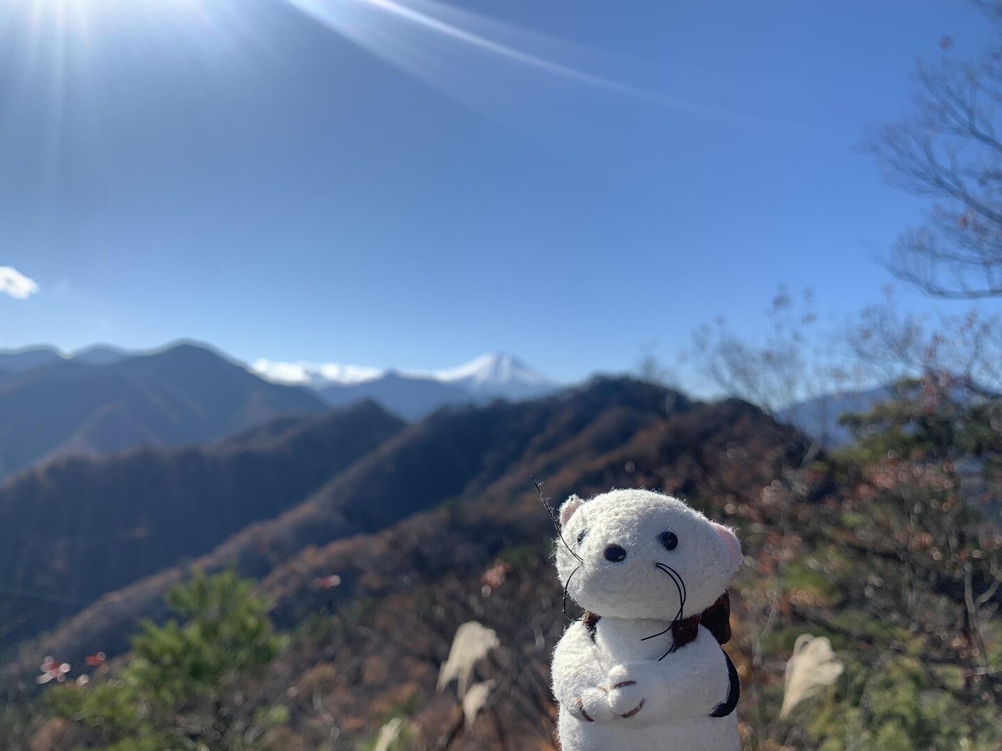 九鬼山 秀麗富嶽十二景#10 / ARさんの倉岳山・高畑山・九鬼山の活動データ | YAMAP / ヤマップ