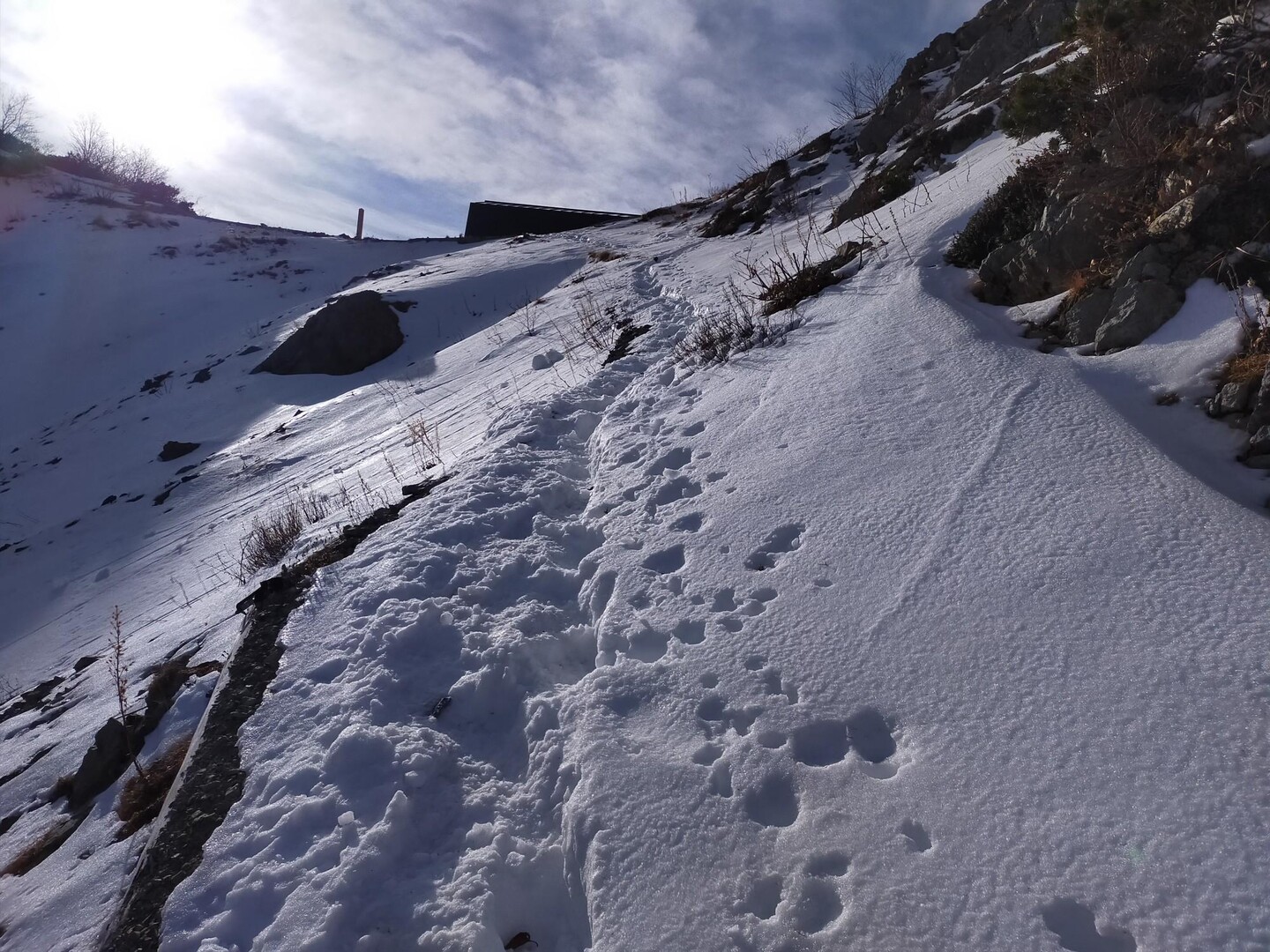 曇る前に針ノ木岳 / OFFICE 岳さんの針ノ木岳・スバリ岳・船窪岳の活動日記 | YAMAP / ヤマップ