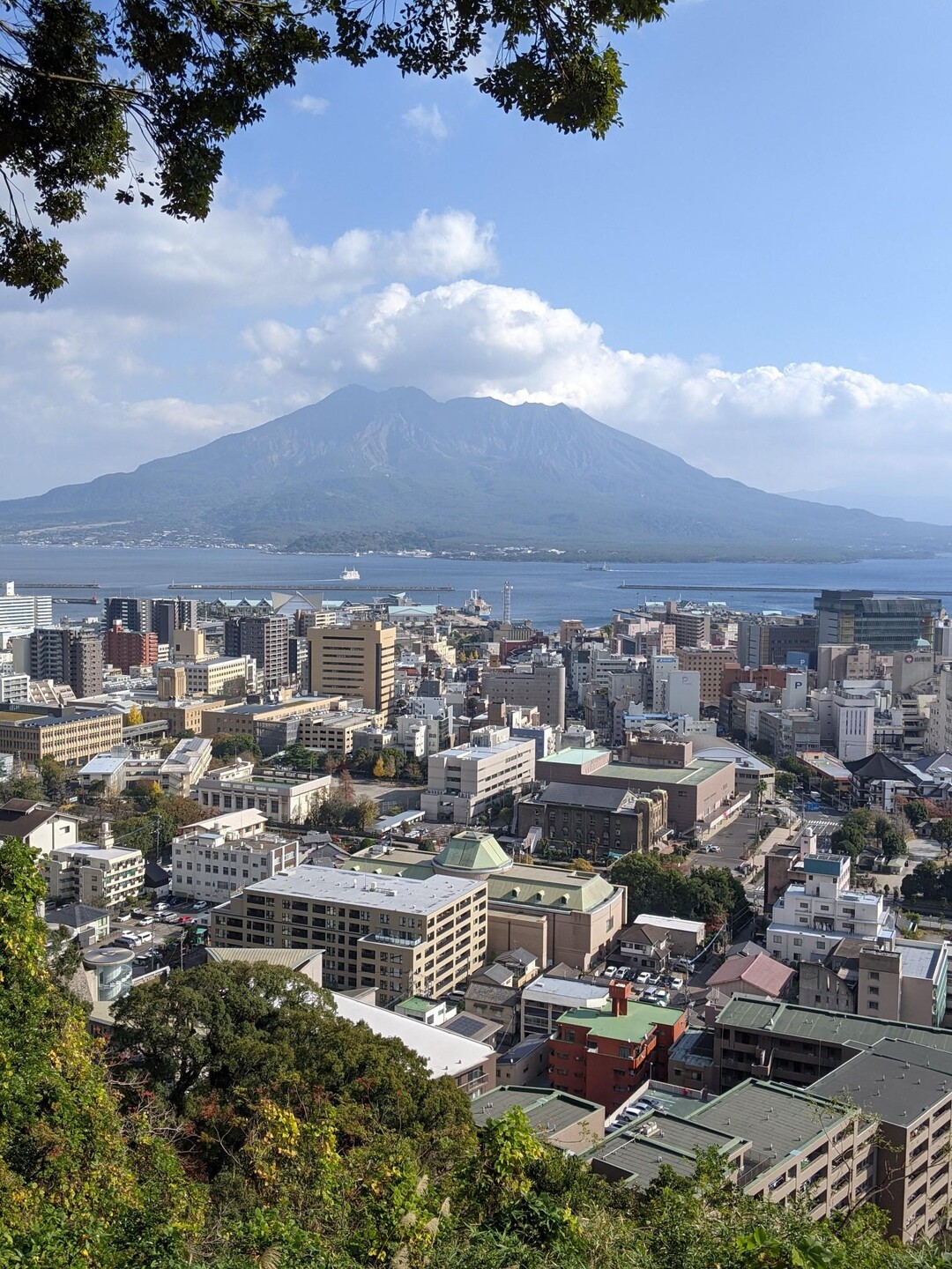 城山 / kazukoさんの鹿児島市の活動データ | YAMAP / ヤマップ