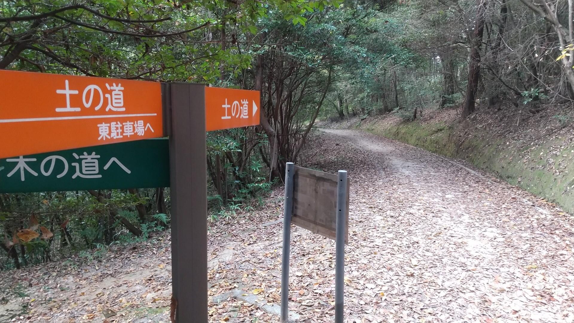 ランニング日和🏞️ / hottyさんのランニングの活動日記 | YAMAP / ヤマップ