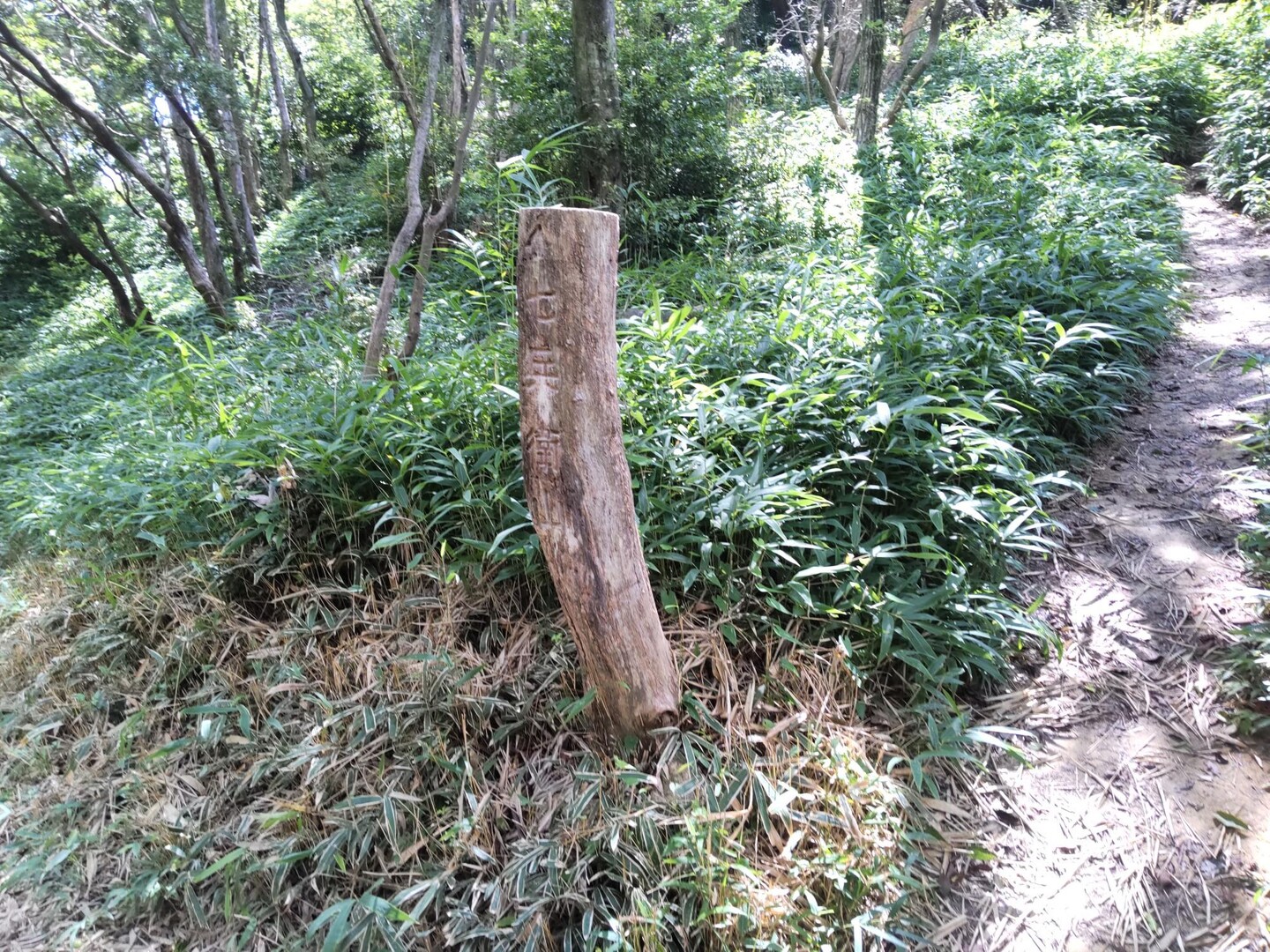 miyukyさんの投稿したフィールドメモ | YAMAP / ヤマップ