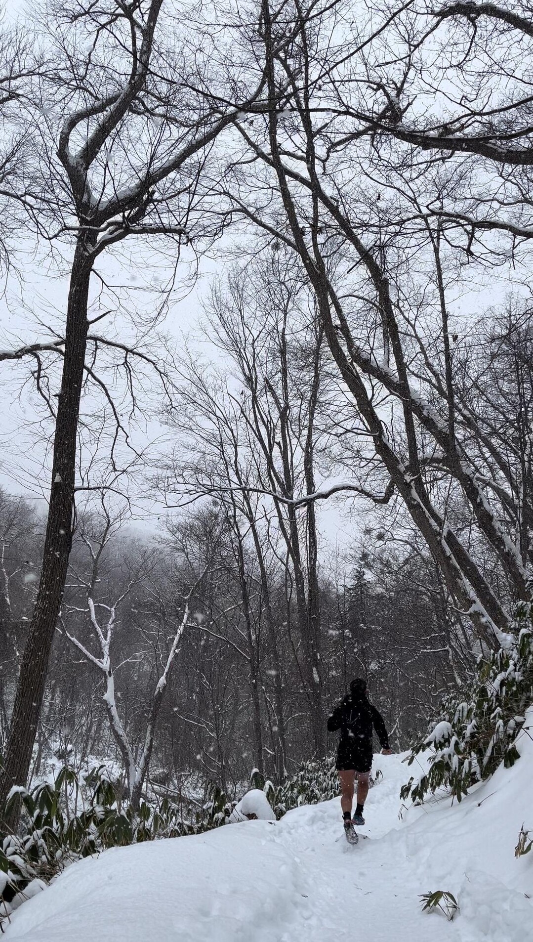 2024/1/1 元旦マルマル、モイモイ... / NAHOsaurus🦖さんのモーメント | YAMAP / ヤマップ