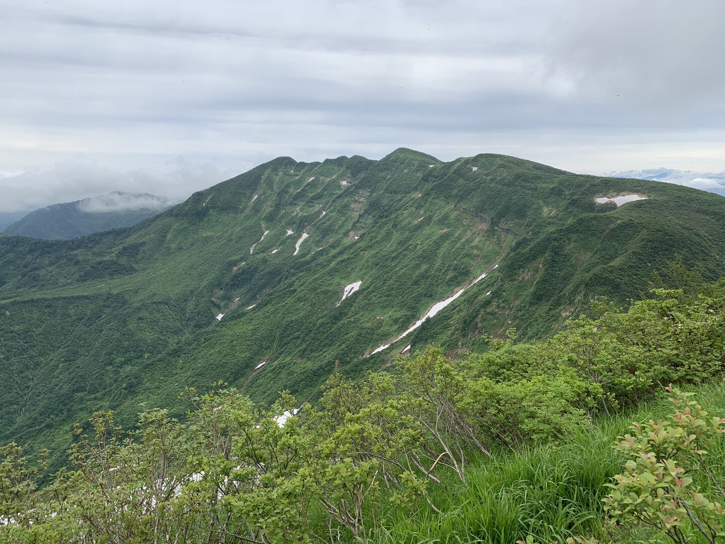 守門岳・大岳・網張山-2019-07-06 / Miles@Smilesさんの守門岳・大岳・網張山の活動データ | YAMAP / ヤマップ