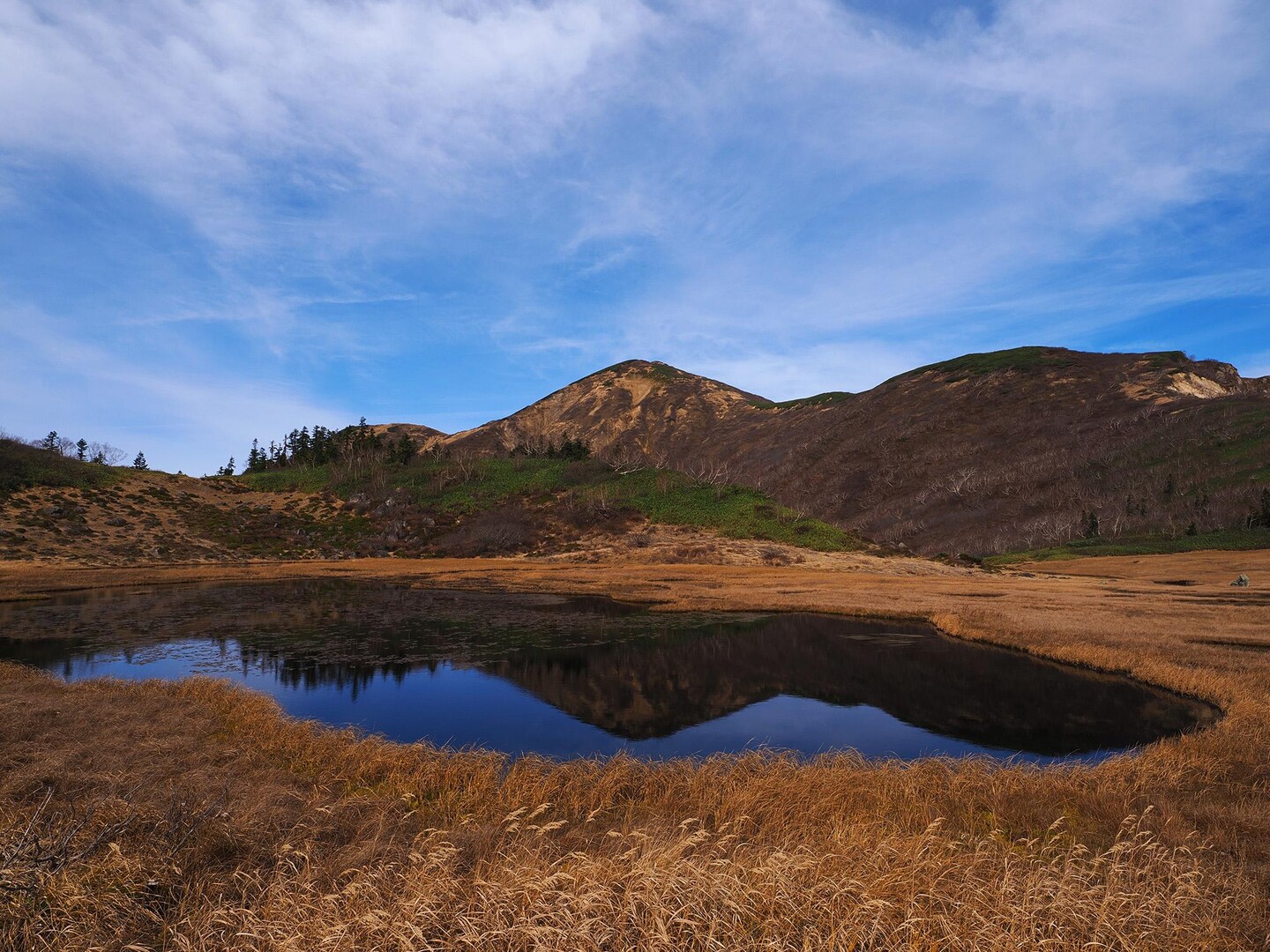 火打山（新潟県） / JunJunさんの妙高山・火打山の活動データ | YAMAP / ヤマップ