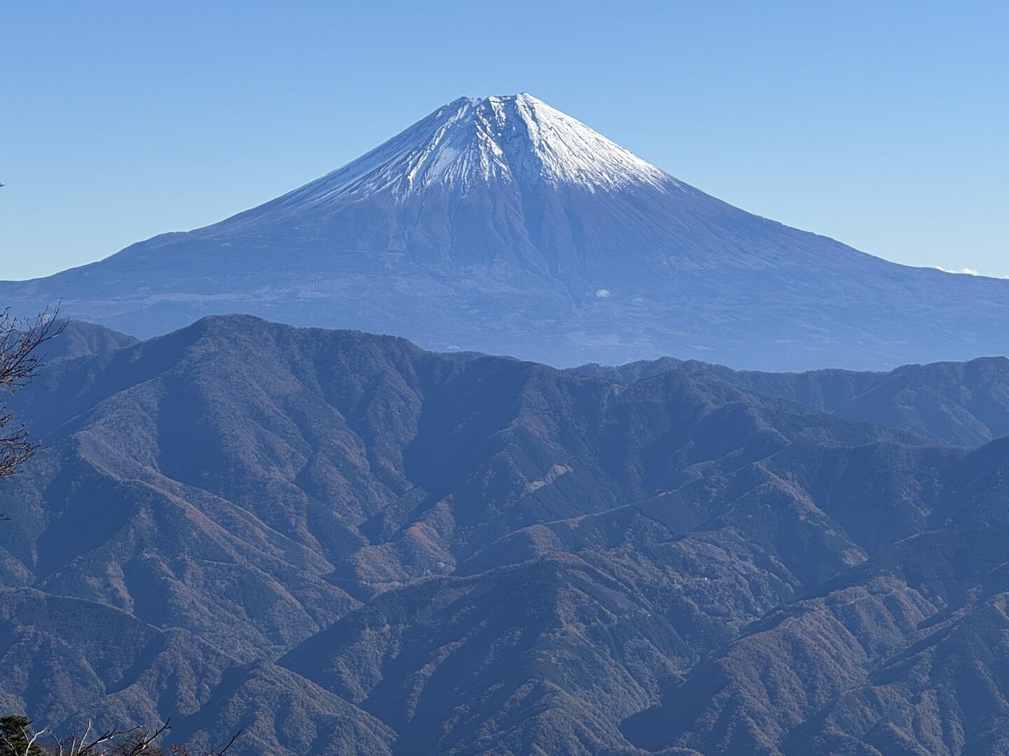 七面山・希望峰 / teruさんの七面山・身延山の活動データ | YAMAP / ヤマップ