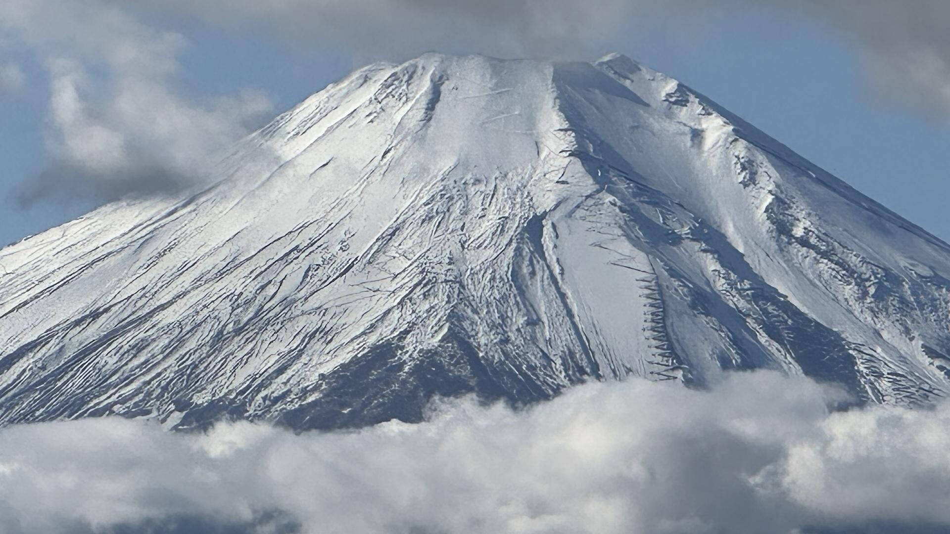 🗻甲相国境尾根🗻&ピークハント♪ / wak-kunさんの御正体山・杓子山・石割山の活動データ | YAMAP / ヤマップ