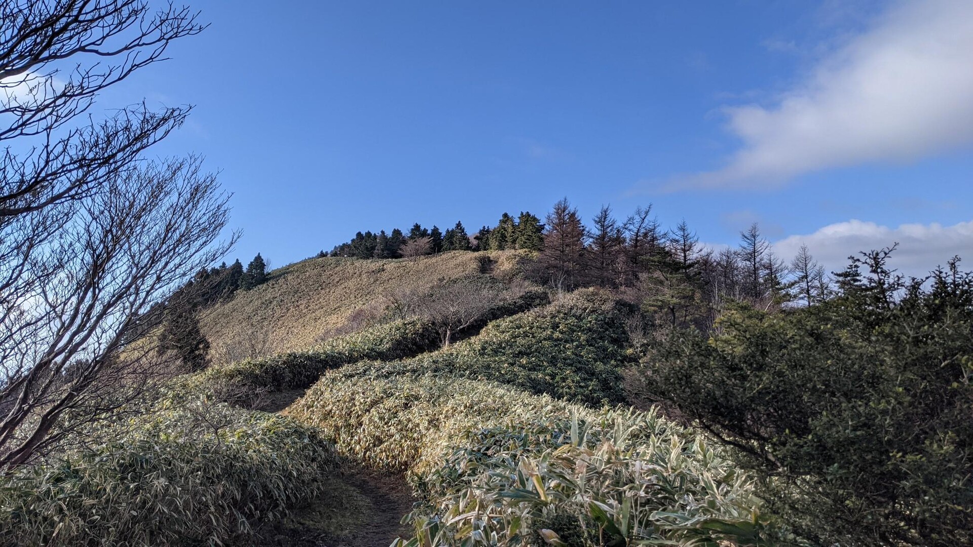 泉山・中央峰・井水山 / YMDさんの泉山・井水山・黒沢山の活動データ | YAMAP / ヤマップ