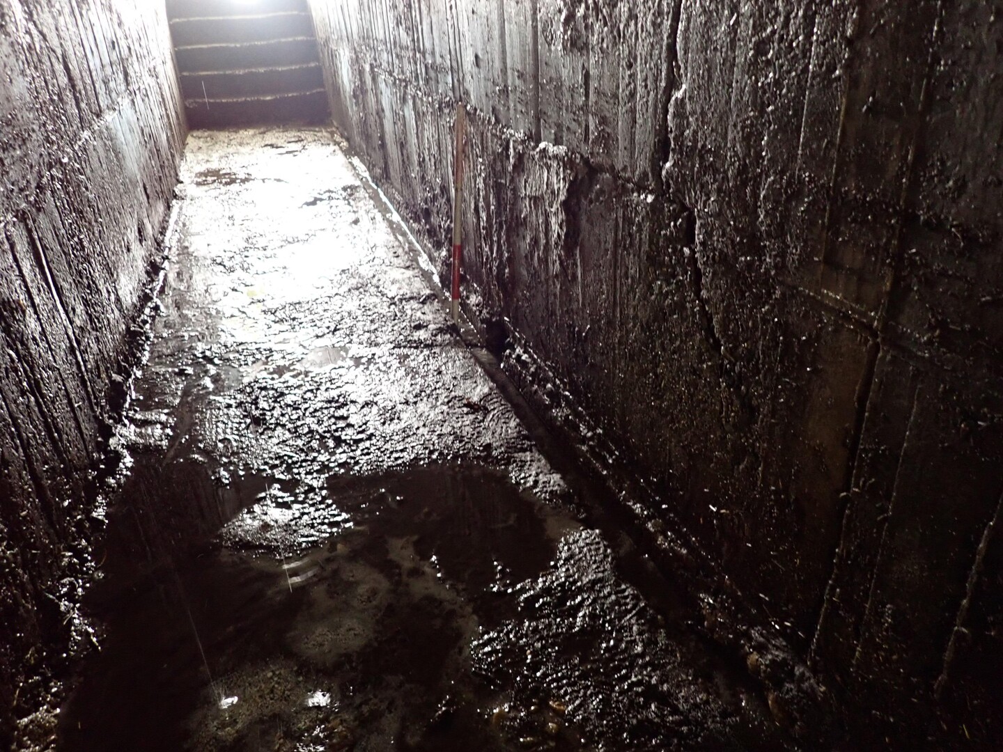 yudoburiさんの投稿したフィールドメモ | YAMAP / ヤマップ