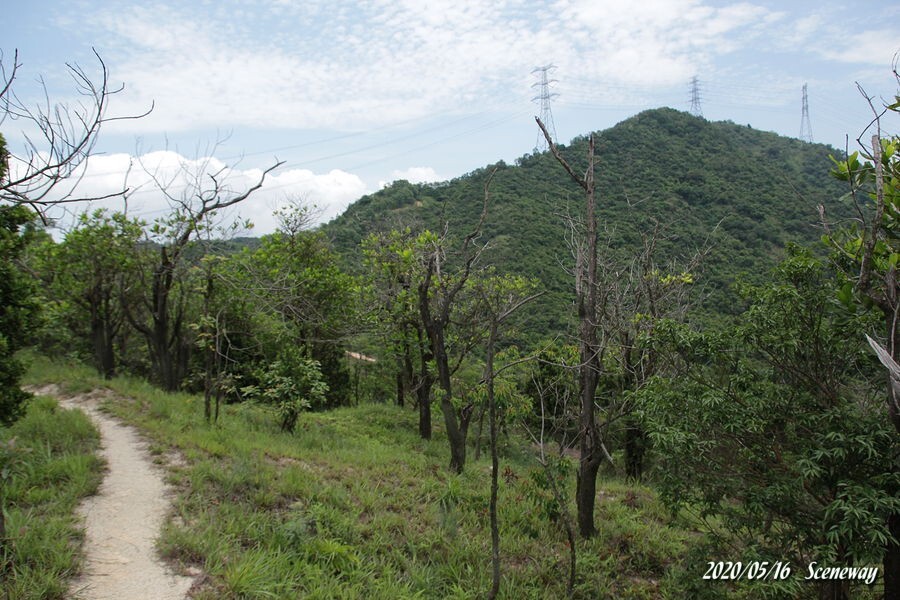 竹篙嶺山脈縦断 （中国中山市） / Scenewayさんの登山の活動データ | YAMAP / ヤマップ