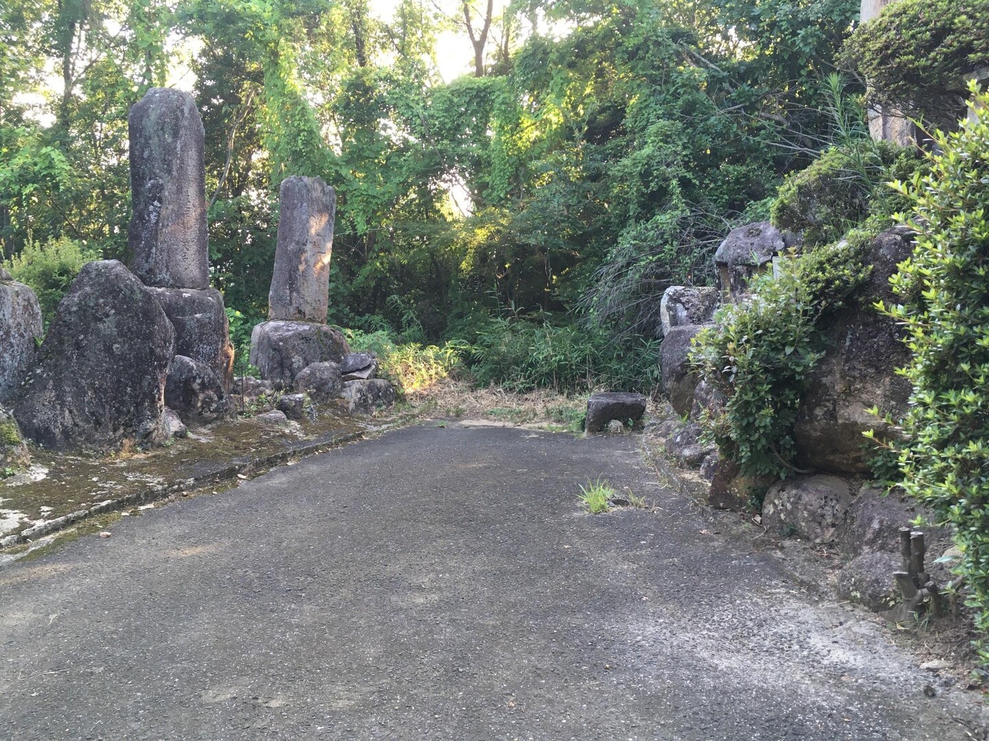 龍王山 2023-07-22 / kameさんの鬼ノ城（鬼城山）の活動データ | YAMAP / ヤマップ