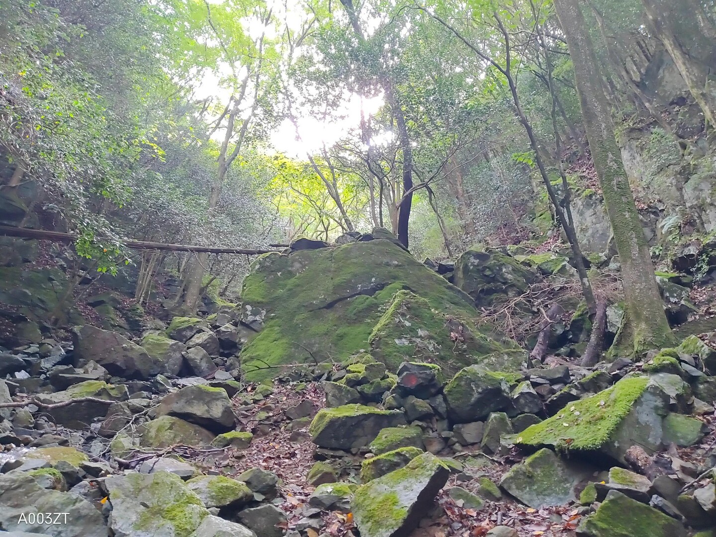 福智山に癒やしを求めて / kazuakaさんの福智山・尺岳・雲取山の活動データ | YAMAP / ヤマップ