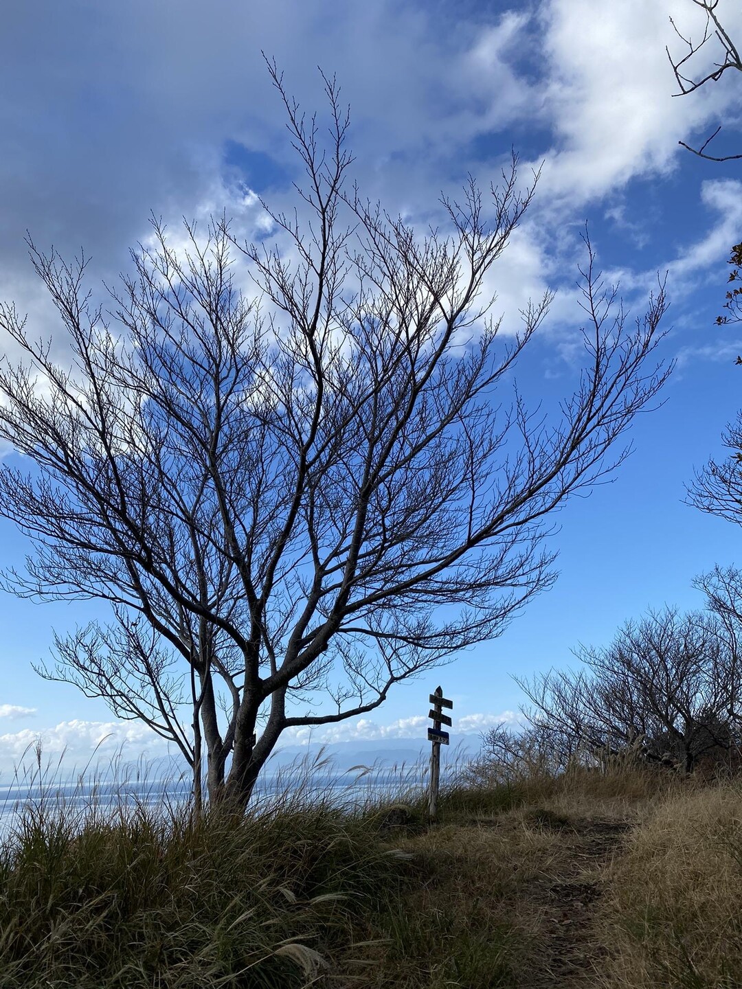 沼津アルプス / Annさんの沼津アルプス・鷲頭山・香貫山の活動データ | YAMAP / ヤマップ