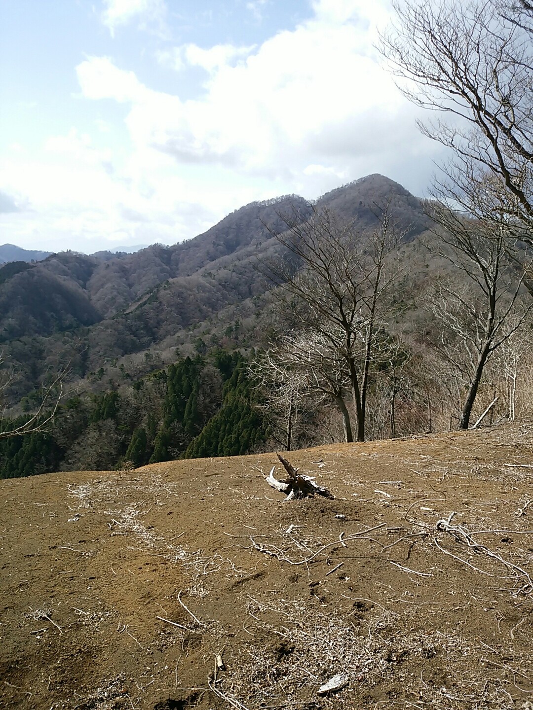 9､3km 権現山～畦ヶ丸～善六山～塩地窪沢の頭 / tamiさんの大室山・畦ヶ丸山・菰釣山の活動データ | YAMAP / ヤマップ