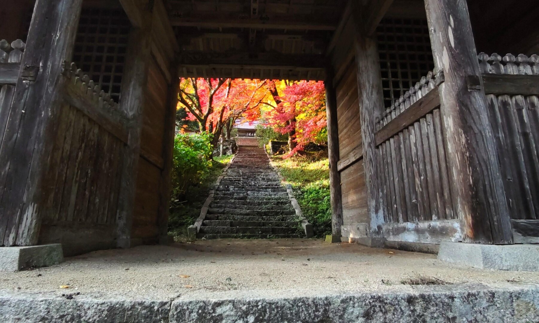 光明寺卍の山門🍁🍁🟡-2024-12-03 / さんちょtbさんの峯寺弥山の活動データ | YAMAP / ヤマップ
