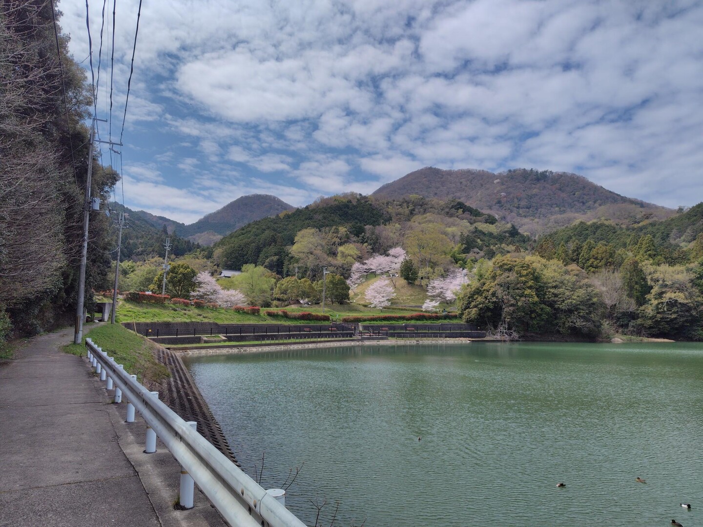 二上山、鳥谷口古墳の桜満開🌸 今日は、... / スナフキンさんのモーメント | YAMAP / ヤマップ