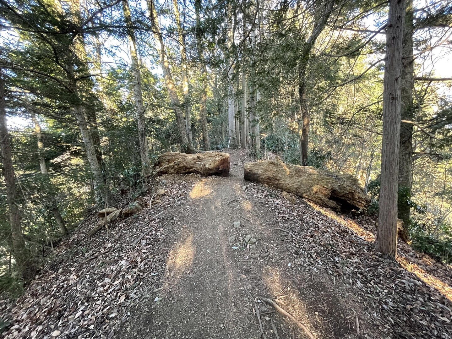 tsk-chaponさんの投稿したフィールドメモ | YAMAP / ヤマップ